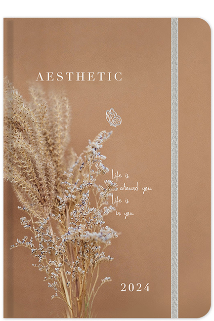 ΗΜΕΡΟΛΟΓΙΟ ADBOOK 24 AESTHETIC ΑΠΟΞΗΡΑΜΕΝΑ 09*13 ΗΜΕΡΗΣΙΑ ΑΤΖΕΝΤΑ ΜΕ ...