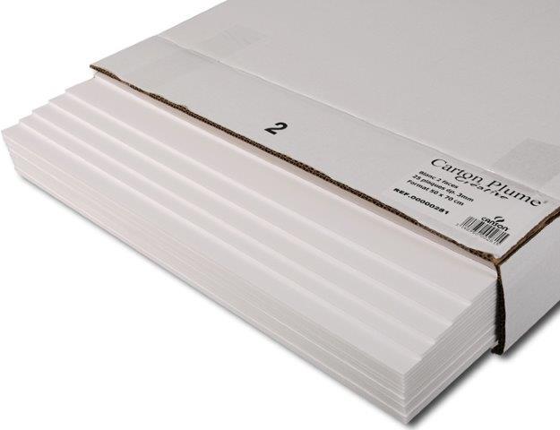 ΧΑΡΤΟΝΙ ΜΑΚΕΤΑΣ 50*70CM SANDWICH 10MM CANSON | Evripidis.gr